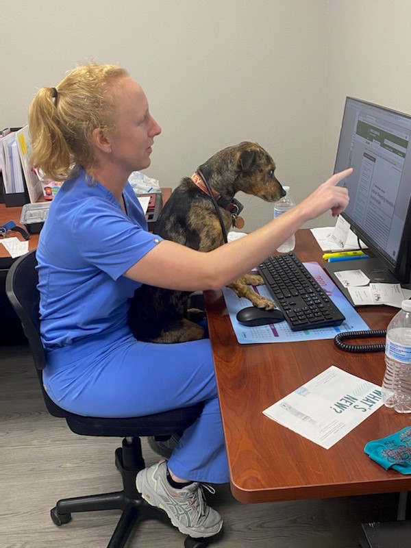 MidCITIES Animal Hospital Patient Gallery | Vet Clinic In Bentonville, AR